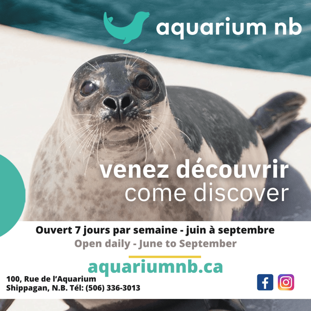 Moncton Public Library – EST 1913